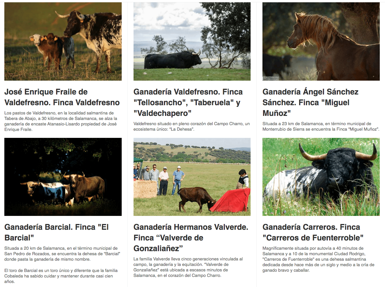 Ruta del Toro Bravo y la Dehesa - Okey Salamanca