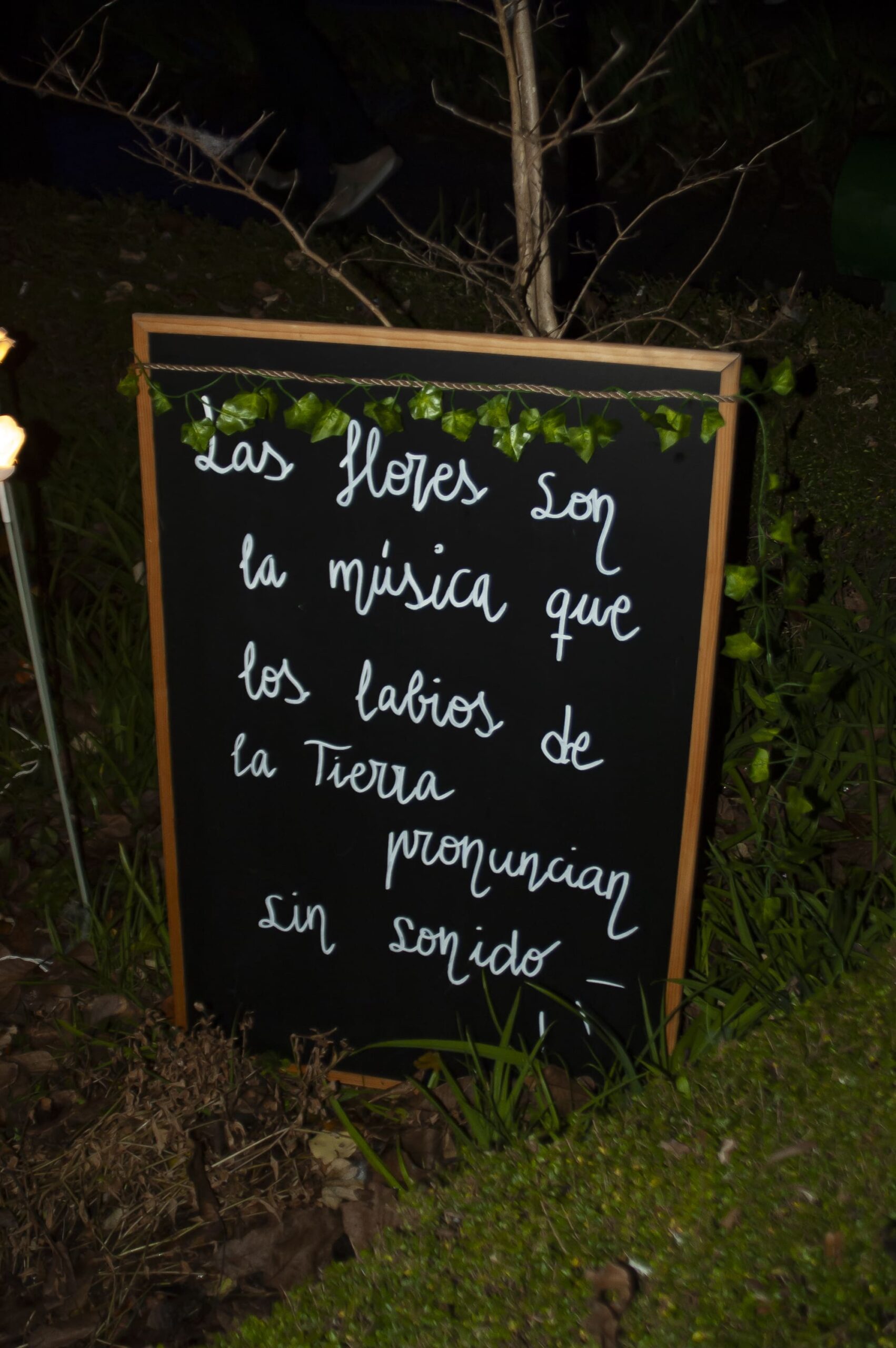 El Huerto de Calixto y Melibea se transforma en un espacio mágico ...